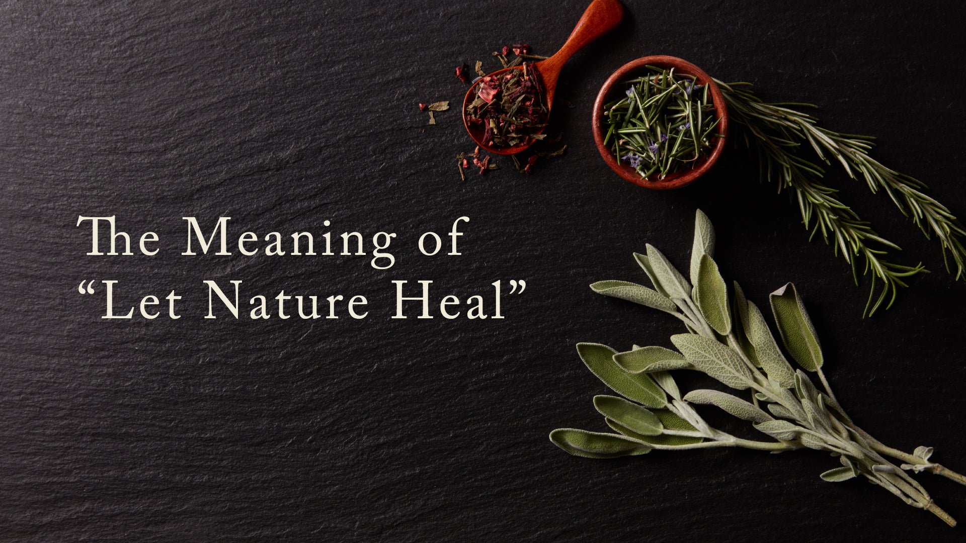 The Meaning of "Let Nature Heal" – Neil Naturopathic